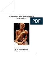 Variantes Anatómicas | PDF | Especialidades Medicas | Medicina CLINICA