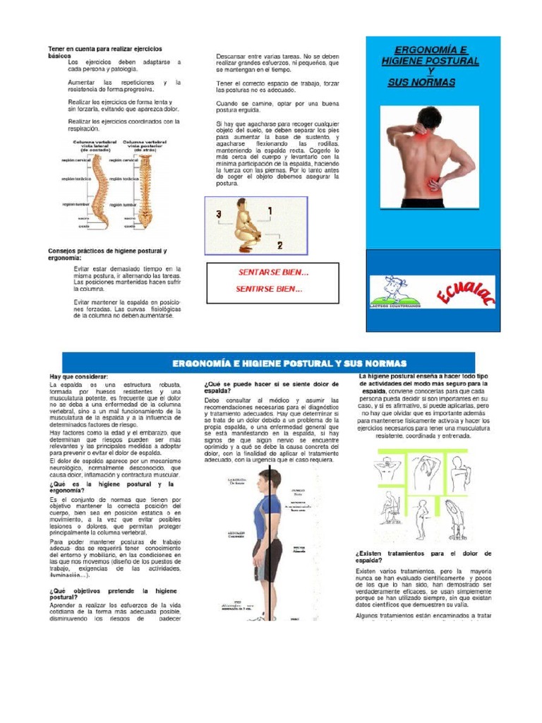 Ergonomia e Higiene Postural | PDF