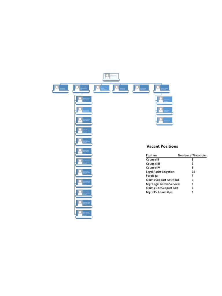 Claims Legal Services Org Chart | PDF | Labor | Practice Of Law