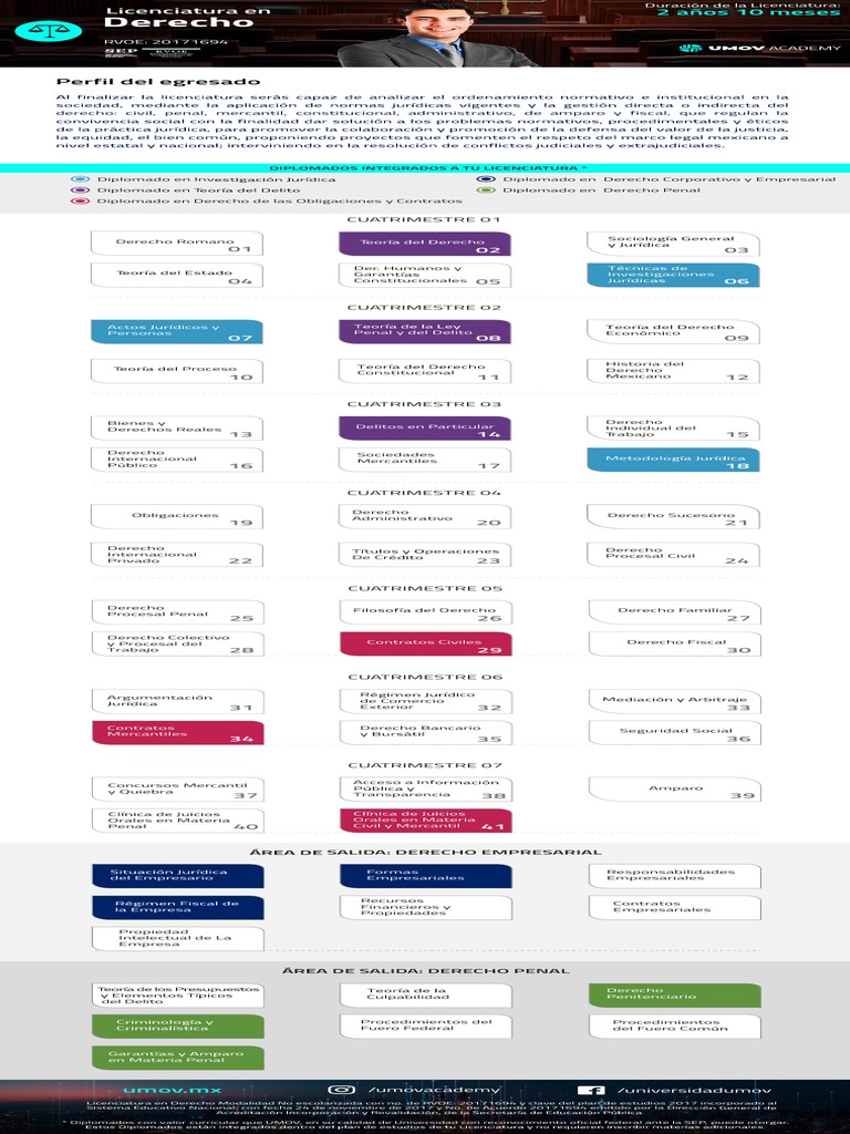 Licenciatura Derecho | PDF | Derecho penal | Gobierno