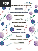 Clasificación Viral de Baltimore | PDF | Virus | Rna