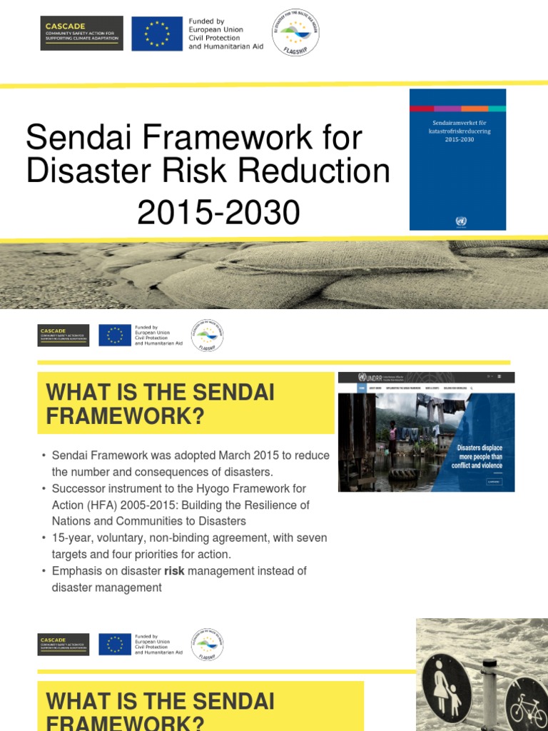 Sendai Framework For DRR | PDF | Risk Management | Economies