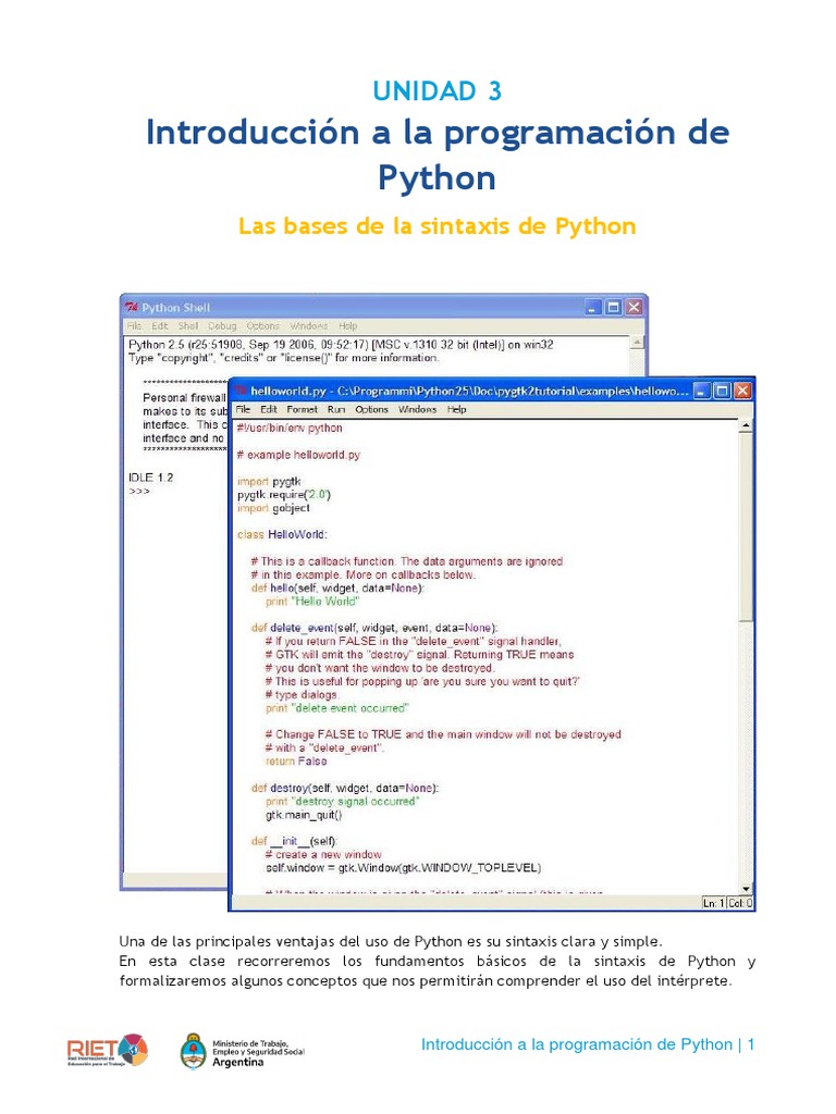 Unidad 3 - Las Bases de La Sintaxis | PDF | Python (lenguaje de ...