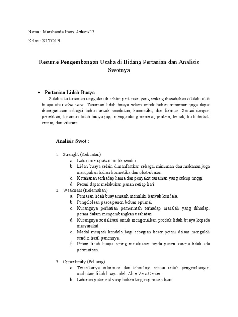 Resume Dan Analisis Swot | PDF
