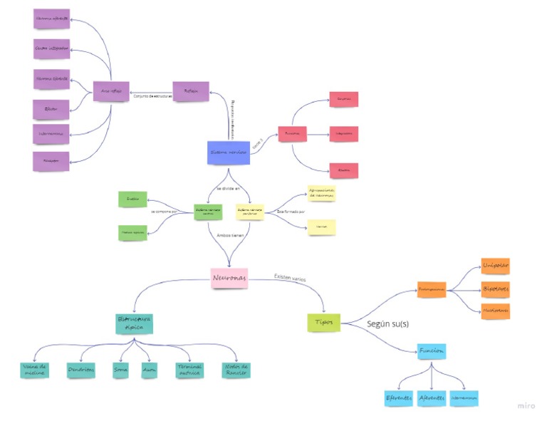 Mapa Conceptual Biologia | PDF