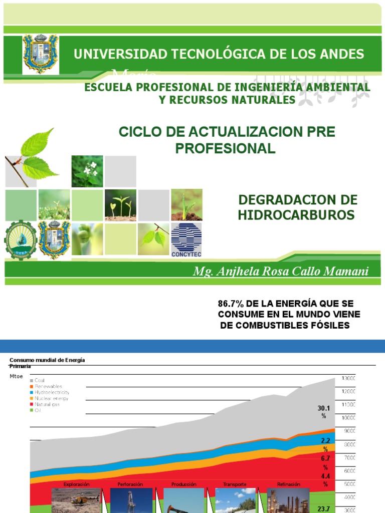 Degradacion de Hidrocarburos - 5 Clase | PDF | Hidrocarburos | Petróleo Degradacion de Hidrocarburos - 5 Clase | PDF | Hidrocarburos | Petróleo