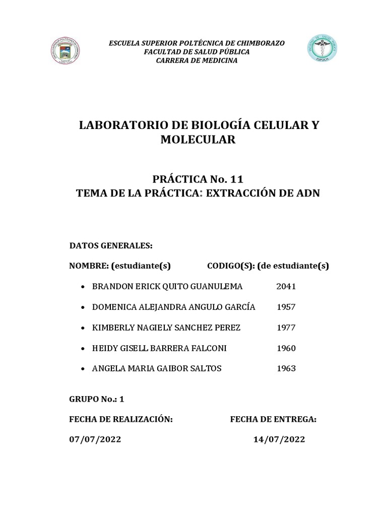 Informe de Prácticas de Laboratorio Extracción de Adn. | PDF | Adn | Biología Celular)