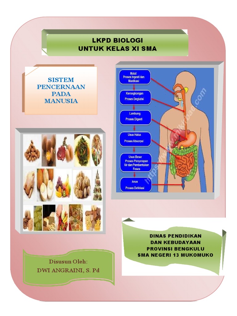 LKPD Kelas-Xi-Sistem-Pencernaan | PDF