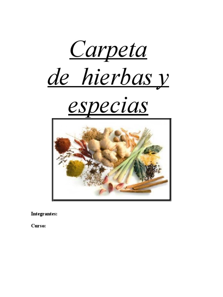 Guia de Condimentos, Hierbas y Especias | PDF | especia | Albahaca