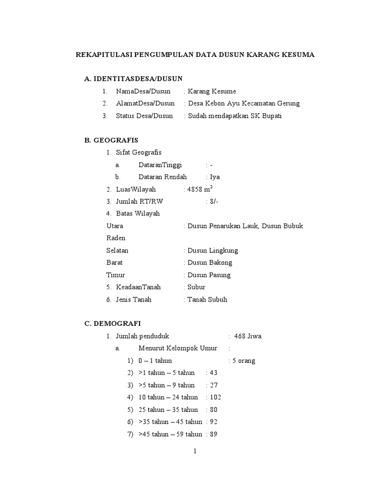 REKAP DATA DUSUN | PDF