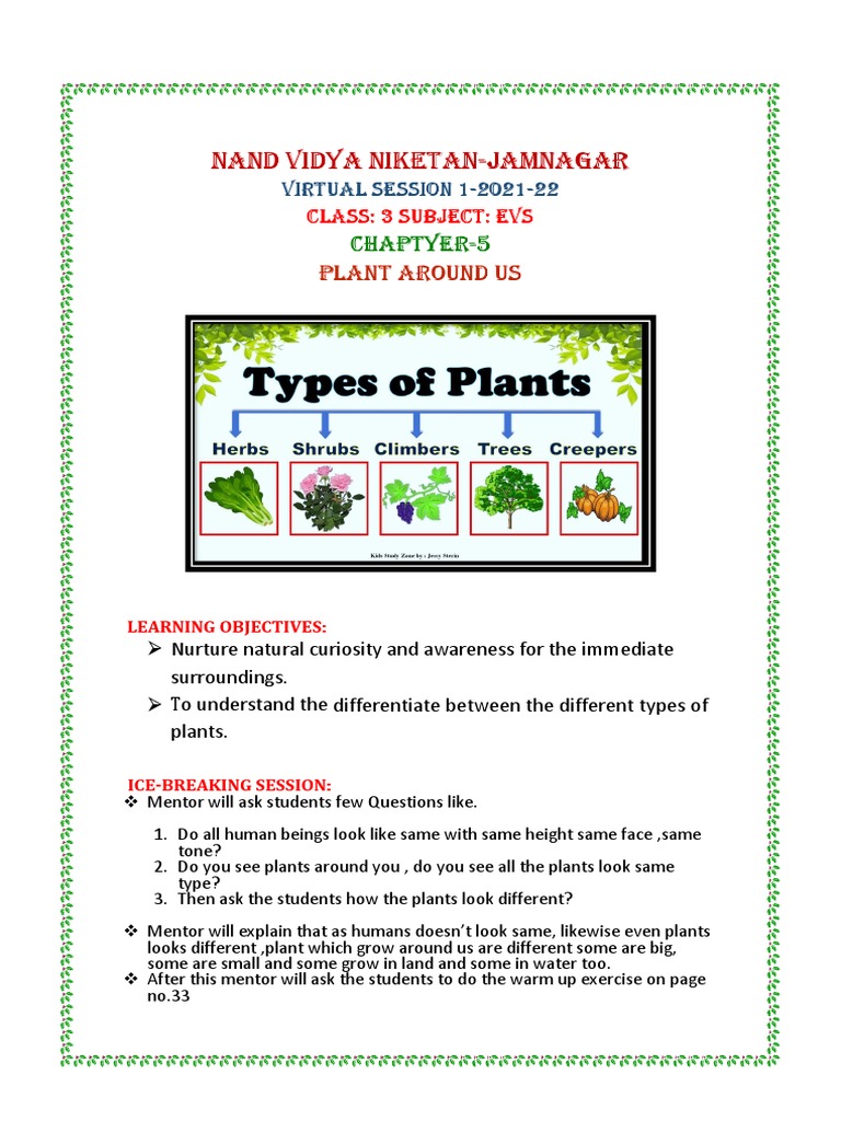 Nand Vidya Niketan-Jamnagar: Plant Around Us | PDF