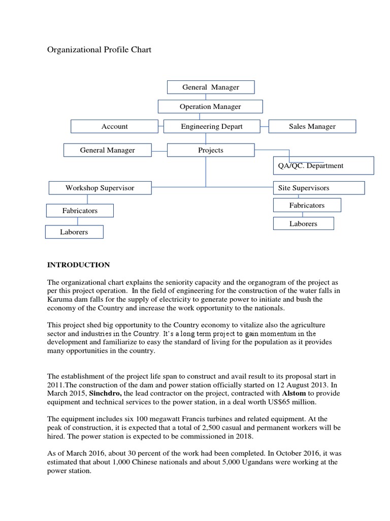Organizational Profile Chart | PDF | Uganda | Lord's Resistance Army