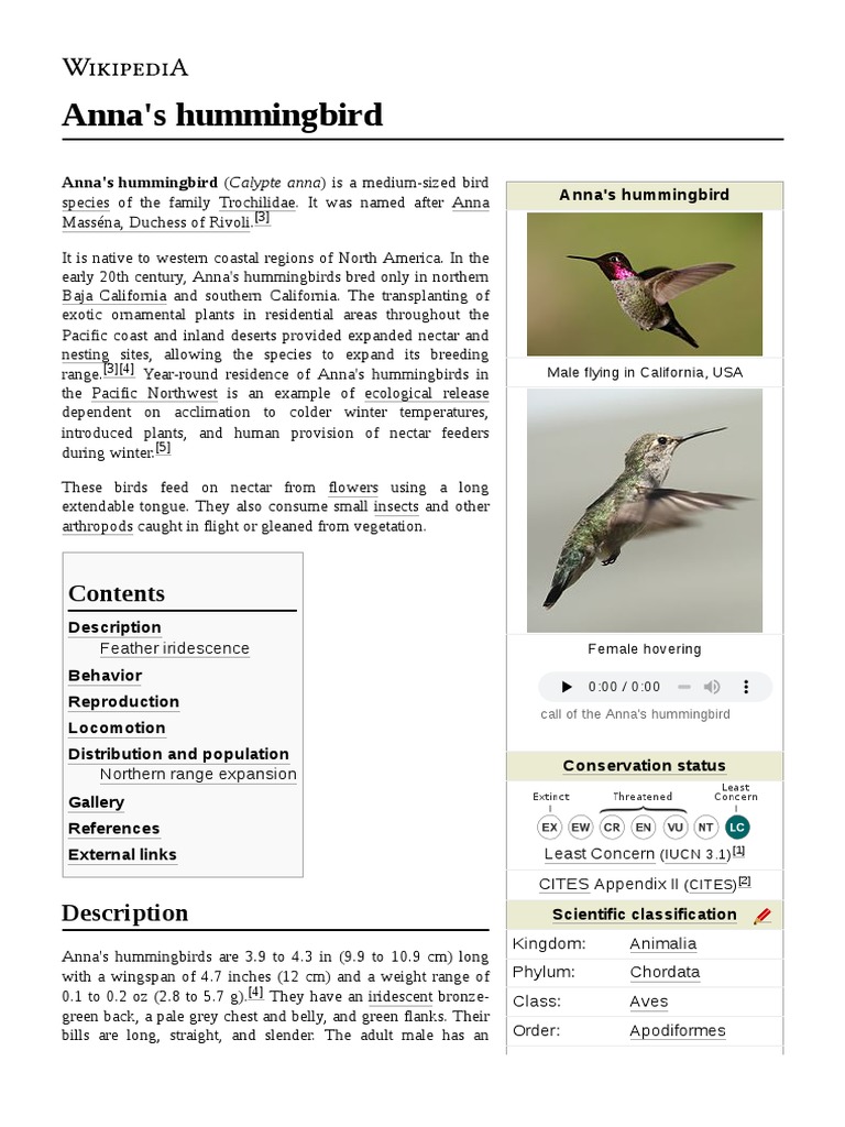 Anna's Hummingbird | PDF | Organisms | Birds