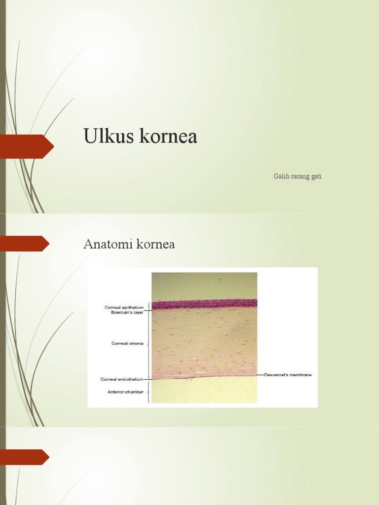 Ulkus Kornea: Etiologi, Manifestasi Klinis, Diagnosis, dan Penatalaksanaan | PDF