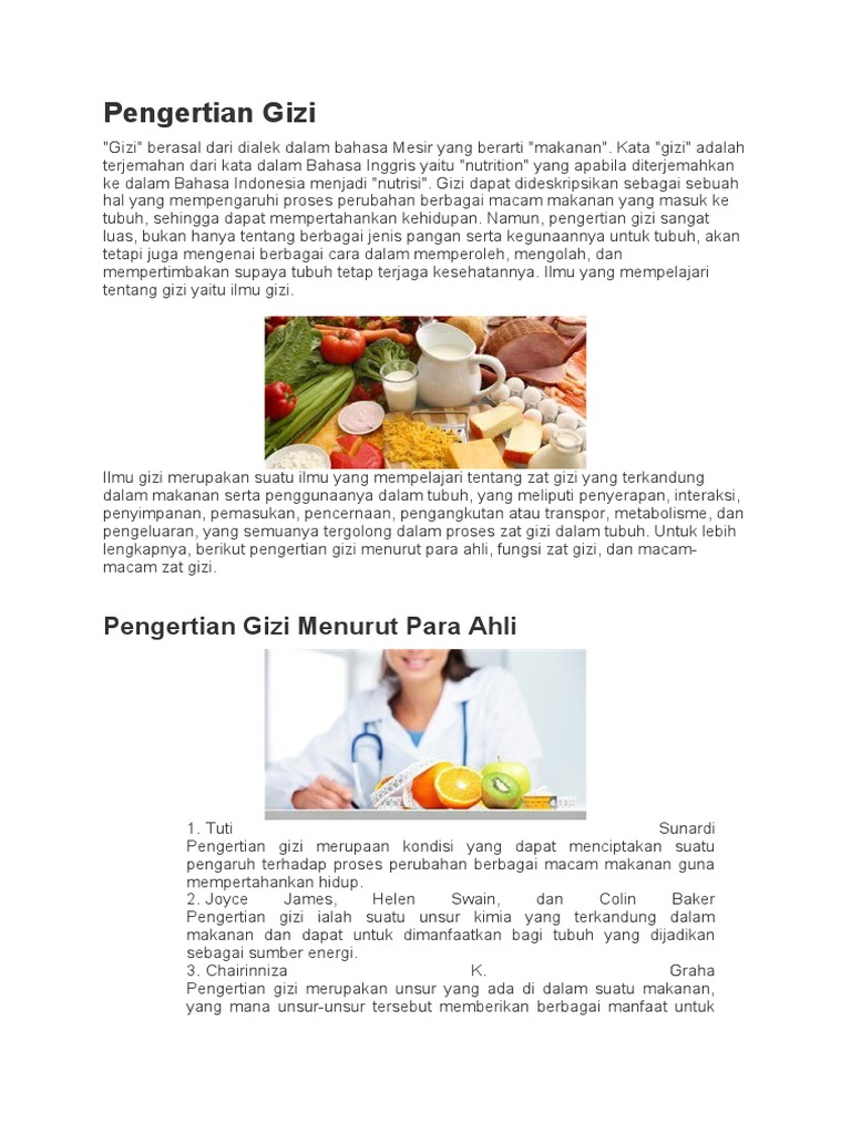 Panduan Dasar Ilmu Gizi | PDF