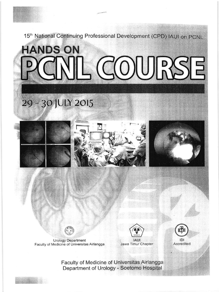 PCNL] Perkutan Nefrolitotomi (PCNL): Teknik dan Hasil Terkini | PDF