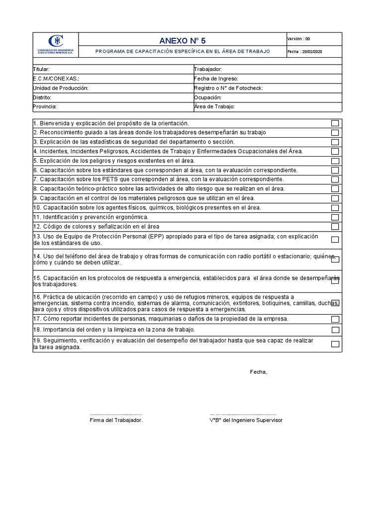 Formato Anexo 5 | PDF | La seguridad