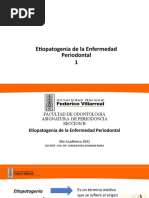 Piramide de Socransky | PDF | Las bacterias | Inmunología