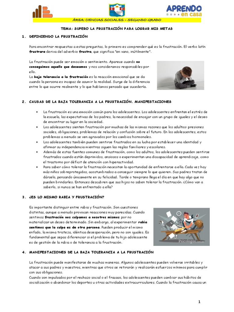 Tema 3 Supero Mis Fustraciones para Lograr Mis Metas | PDF | Las emociones | Adultos