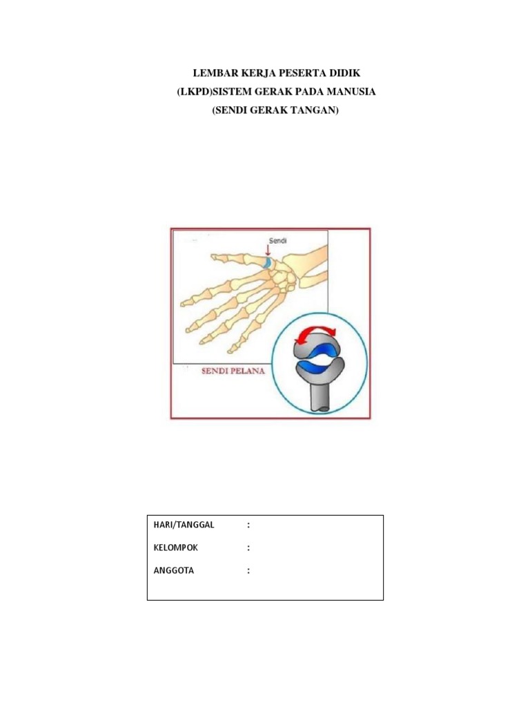 Lembar Kerja Peserta Didik (LKPD) Sendi Gerak | PDF