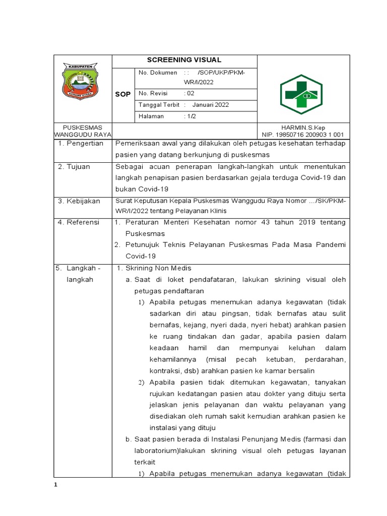 Screening Visual | PDF