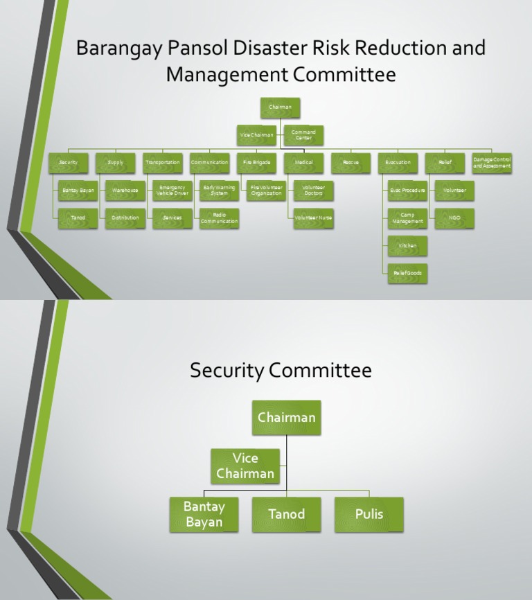 Barangay Pansol Disaster Risk Reduction and Management Committee | PDF
