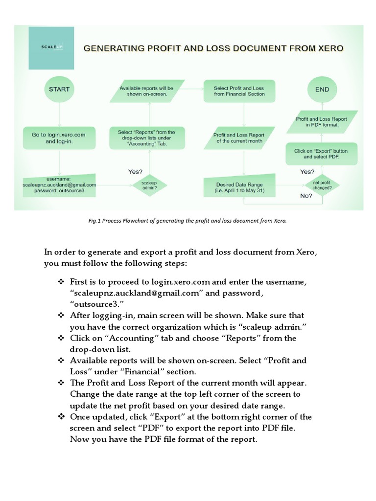 Process Document of P&L Document From Xero | PDF
