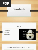 Radiographic Positions of Mastoids | PDF | Human Head And Neck | Human ...