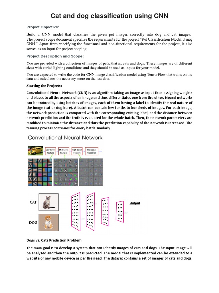 Cat and Dog Classification Using CNN: Project Objective | PDF ...