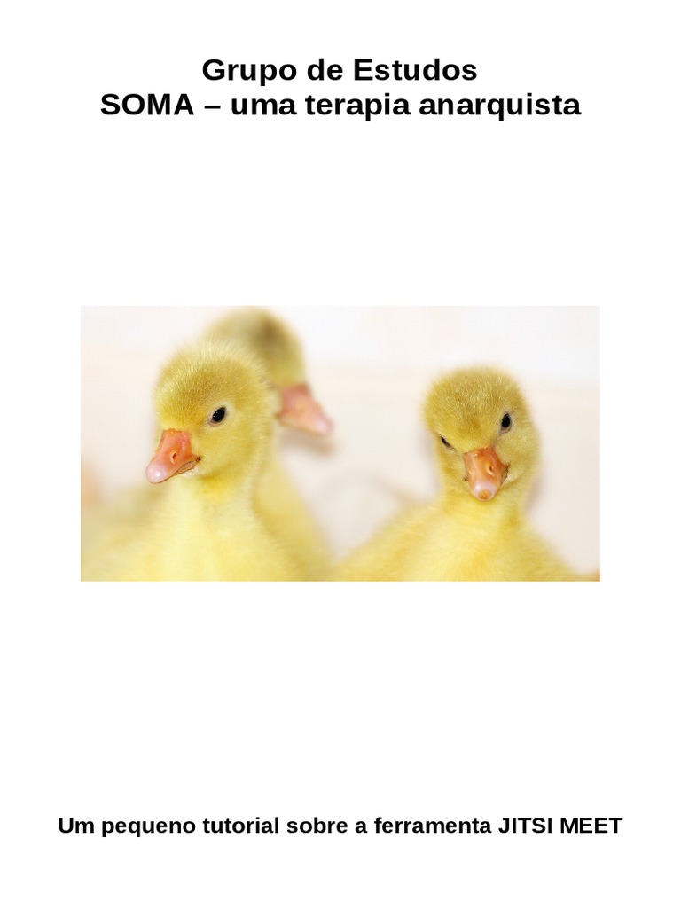 Tutorial Jitsi Meet | PDF | Videotelefonia | Câmera