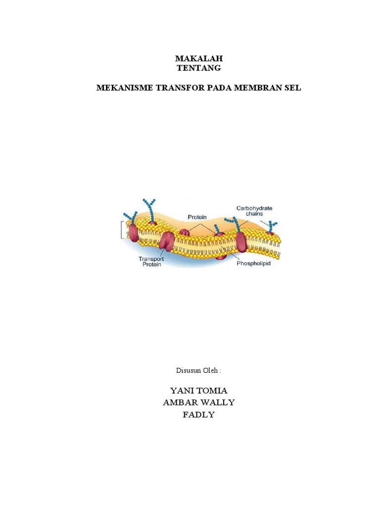 Mekanisme Transpor pada Membran Sel | PDF