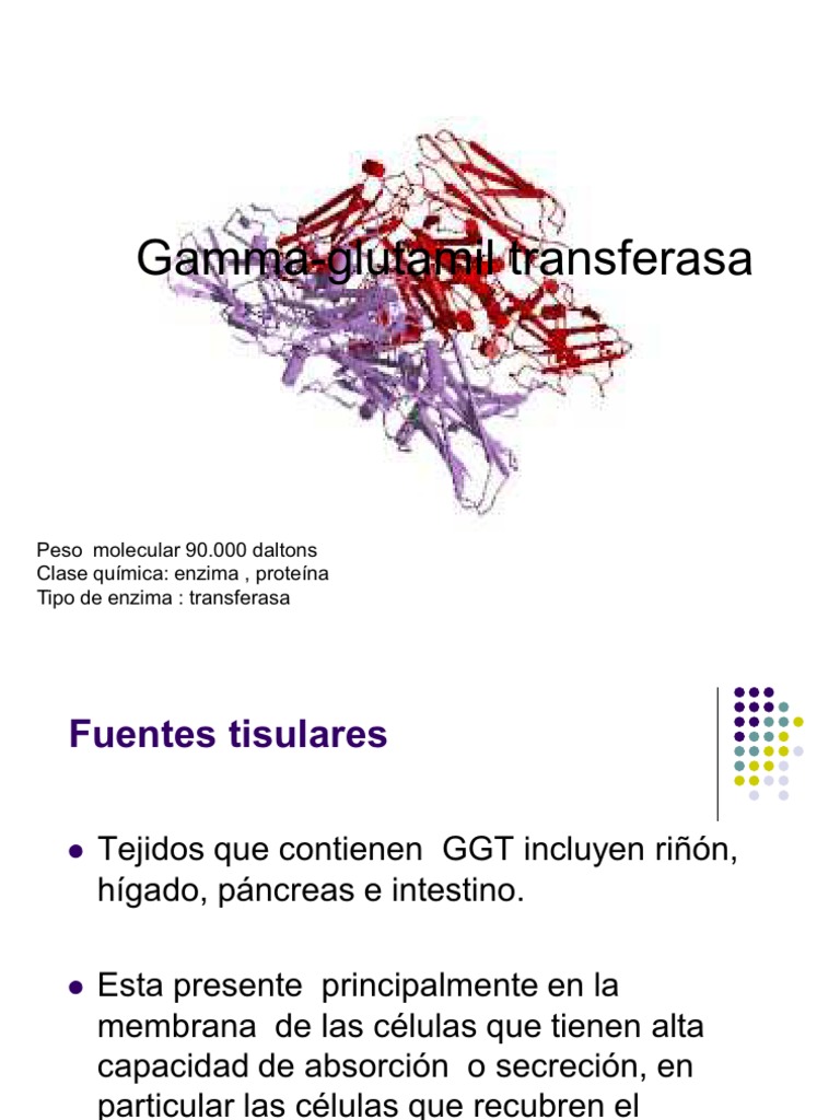 Gamma Glutamil Transfer As A | PDF