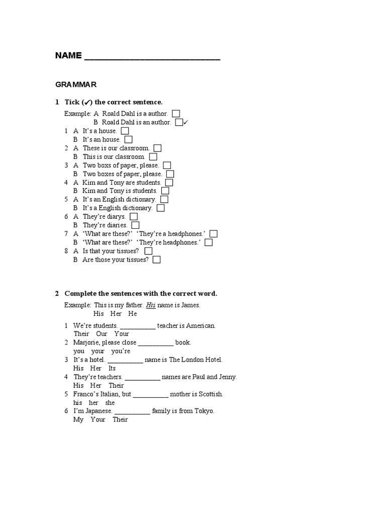 NAME - : Grammar 1 Tick ( ) The Correct Sentence | PDF | Linguistics ...
