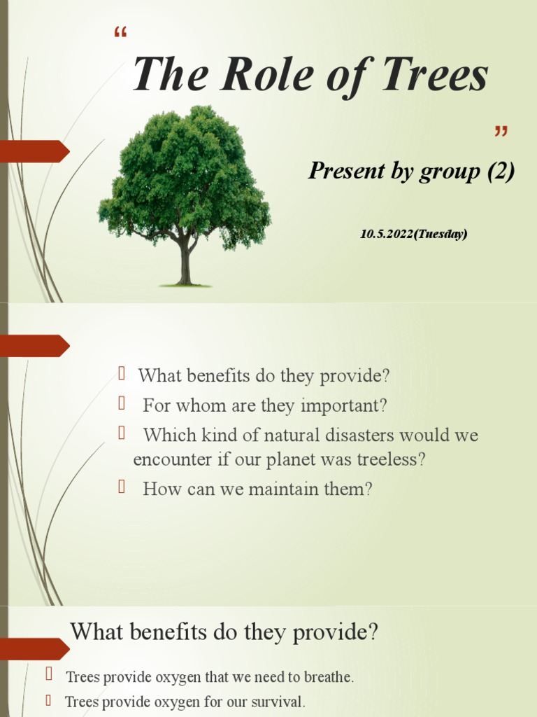 The Role of Trees: Present by Group | Download Free PDF | Trees | Soil