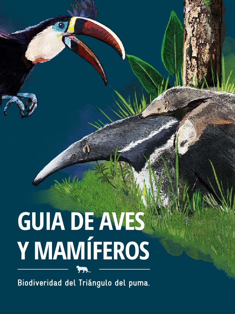 Guía de Aves y Mamíferos | PDF | Aves | Biodiversidad