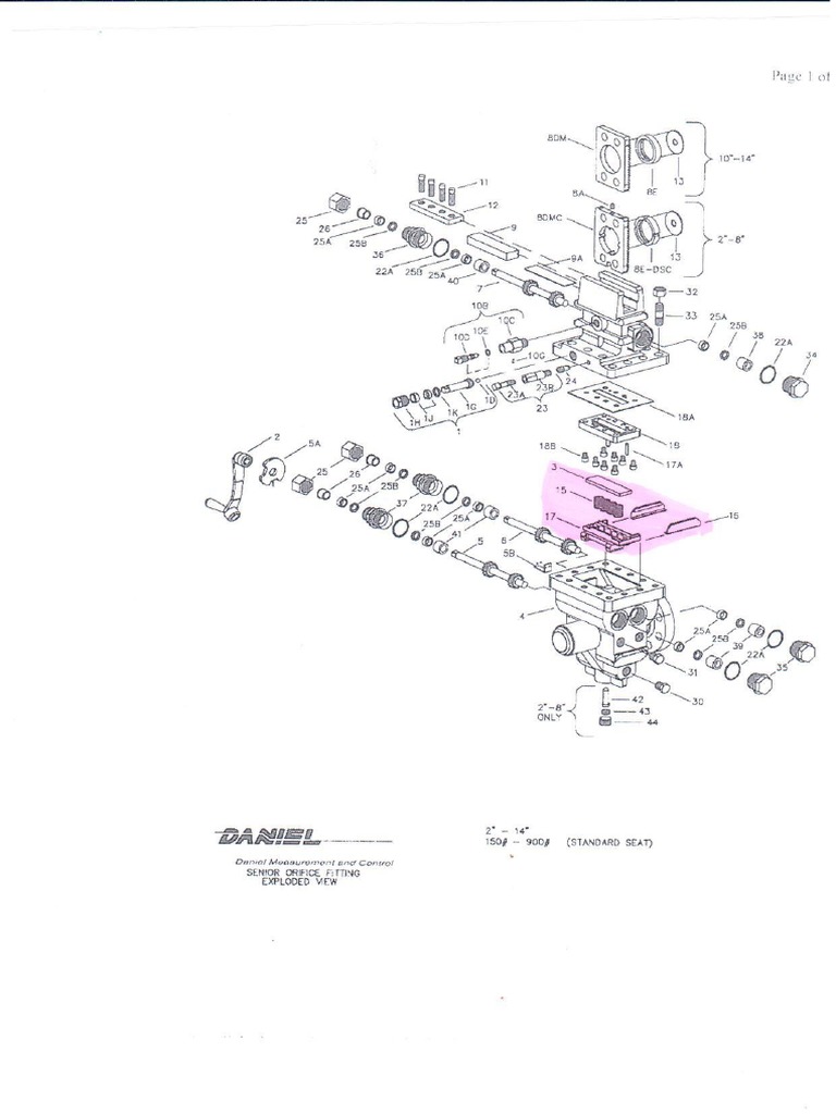 Daniel Parts 1 | PDF