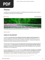 Lapbook sobre las plantas para primaria | PDF | Tallo de la planta ...