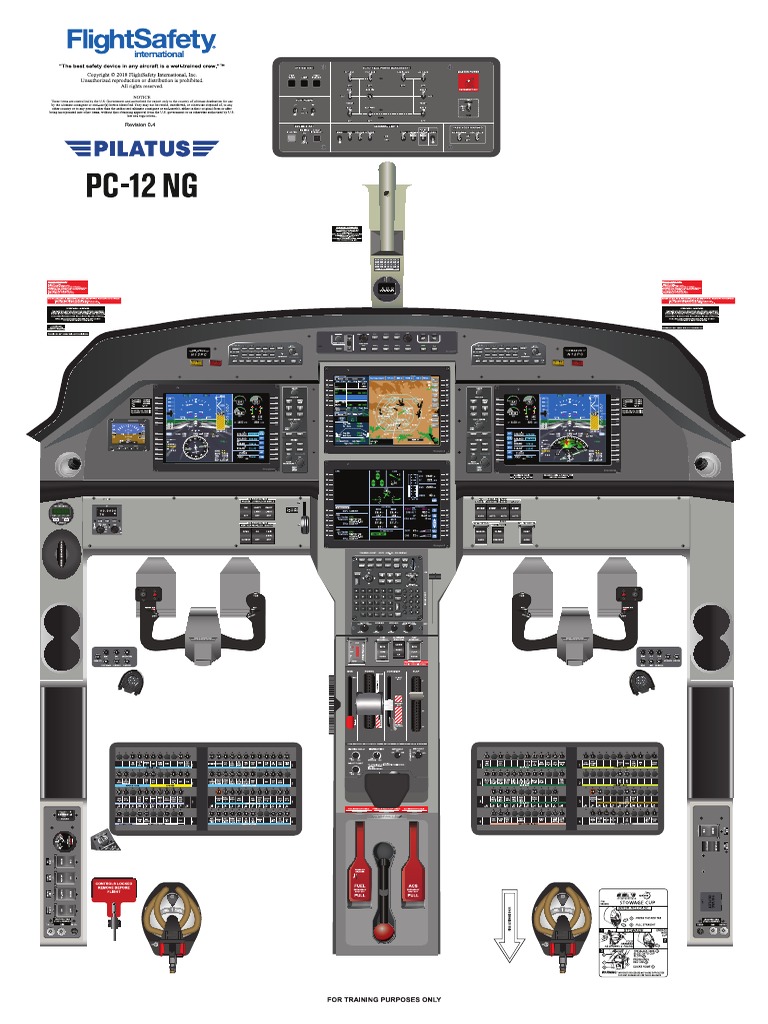Pilatus PC12NG Cockpit | PDF