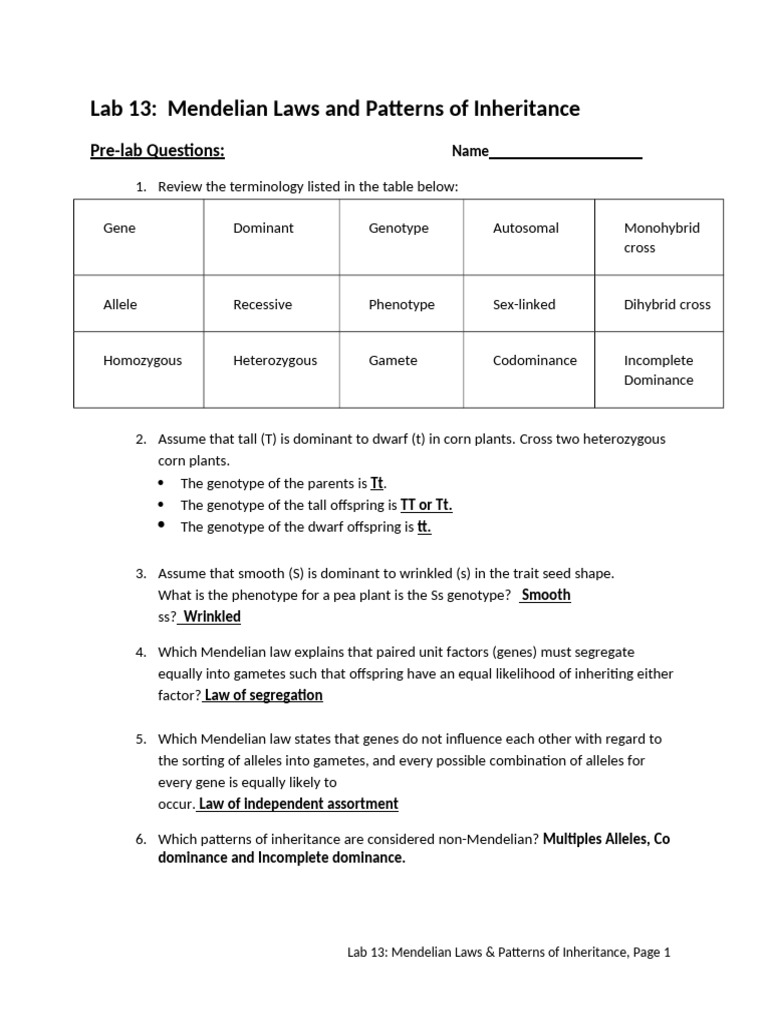 Mendelian Laws & Patterns of Inheritance Lab | PDF | Dominance (Genetics) | Genotype
