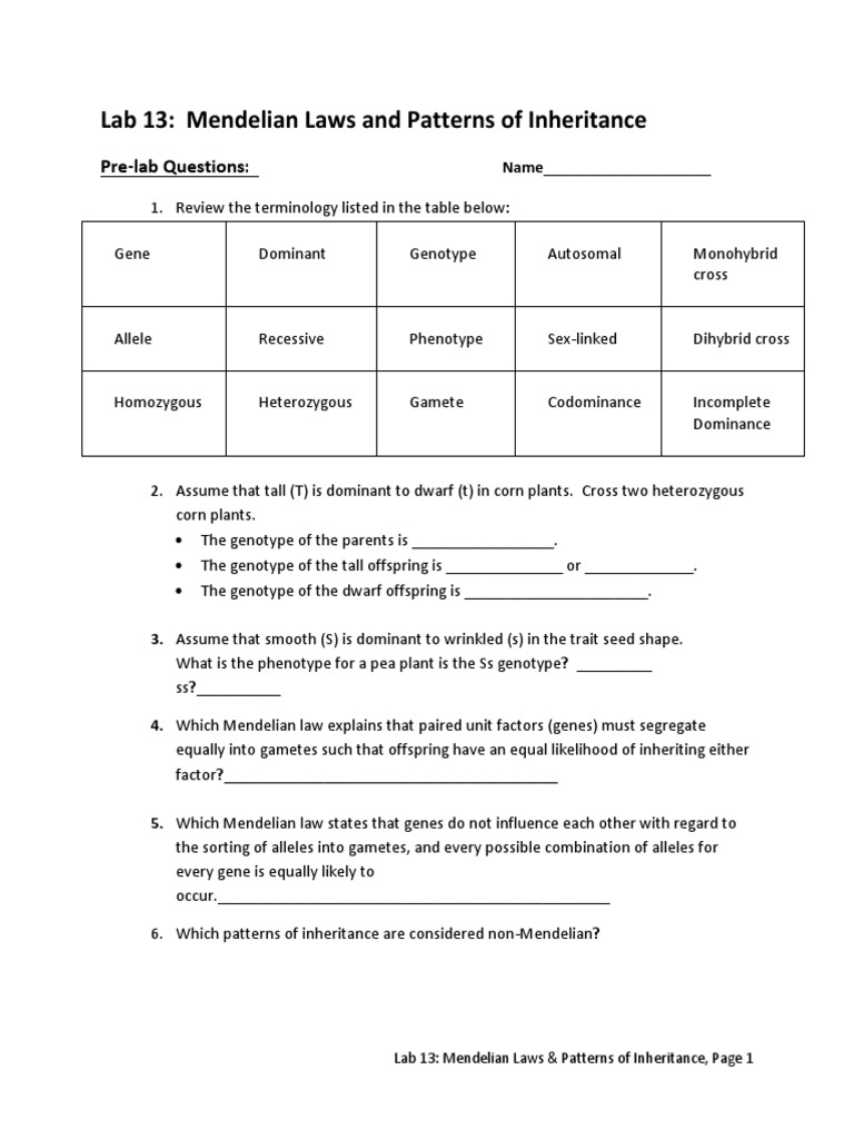 Lab 13 Mendelian Laws & Patterns of Inheritance v10 Fa21 | PDF | Genotype | Dominance (Genetics)
