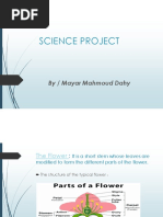 Flower | PDF | Plant Reproduction | Flowers