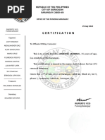 Brgy. Permit To Disco | PDF