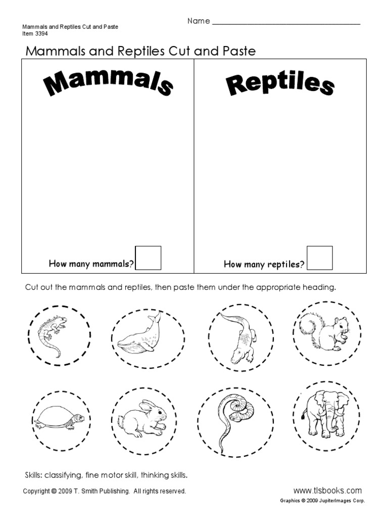 Mammals vs. Reptiles Activity Chart | PDF | Young Adult