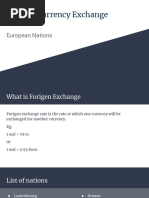 Inforeuro | PDF | Euro | Foreign Exchange Market