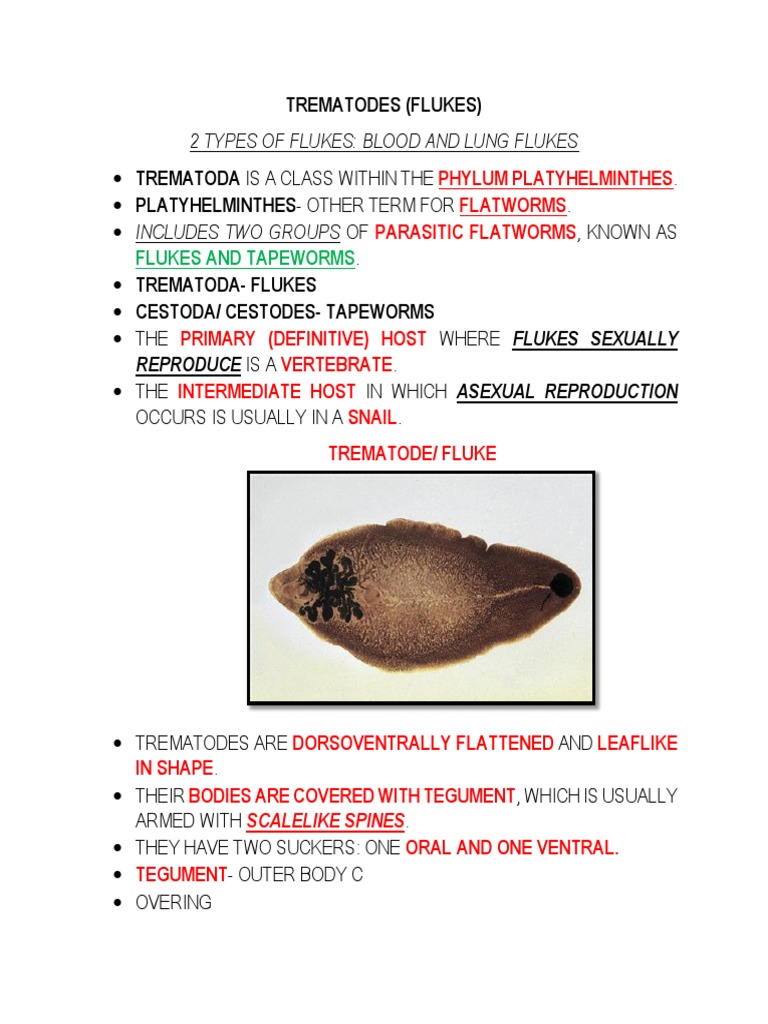 Trematodes Final Clin para | PDF | Medical Specialties | Clinical Medicine