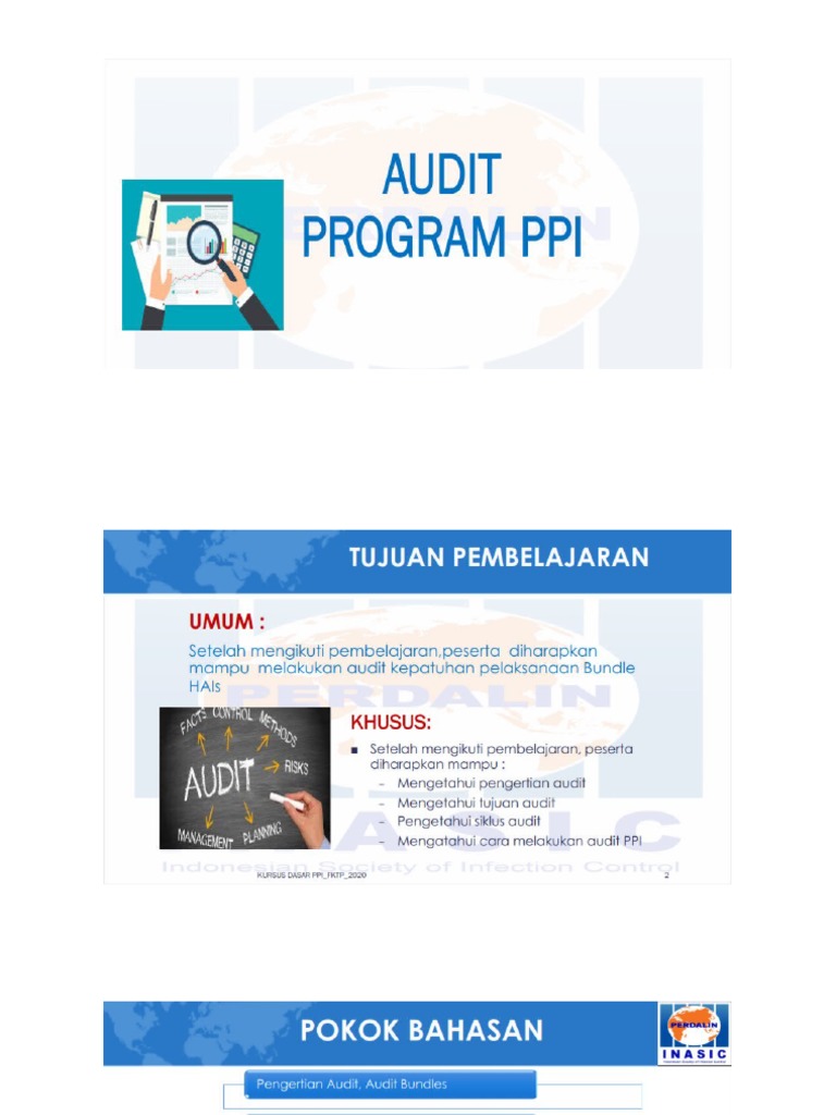 Audit Ppi | PDF