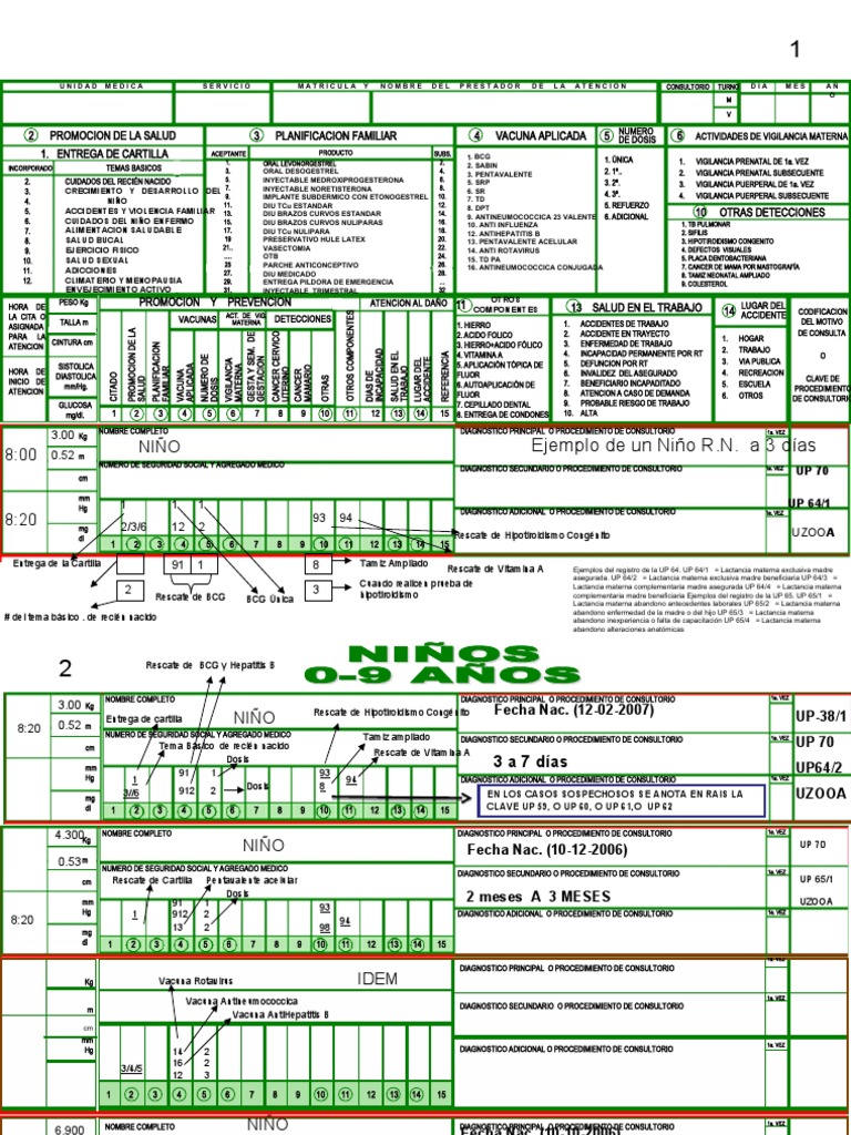 Hoja Rais 2012 | PDF | Ciencias de la Salud | Cuidado de la salud