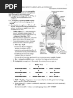Endocrine System Worksheet and Riddles | PDF | Endocrine System ...
