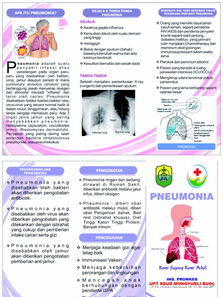 LEAFLET NO 2 Pneumonia | PDF