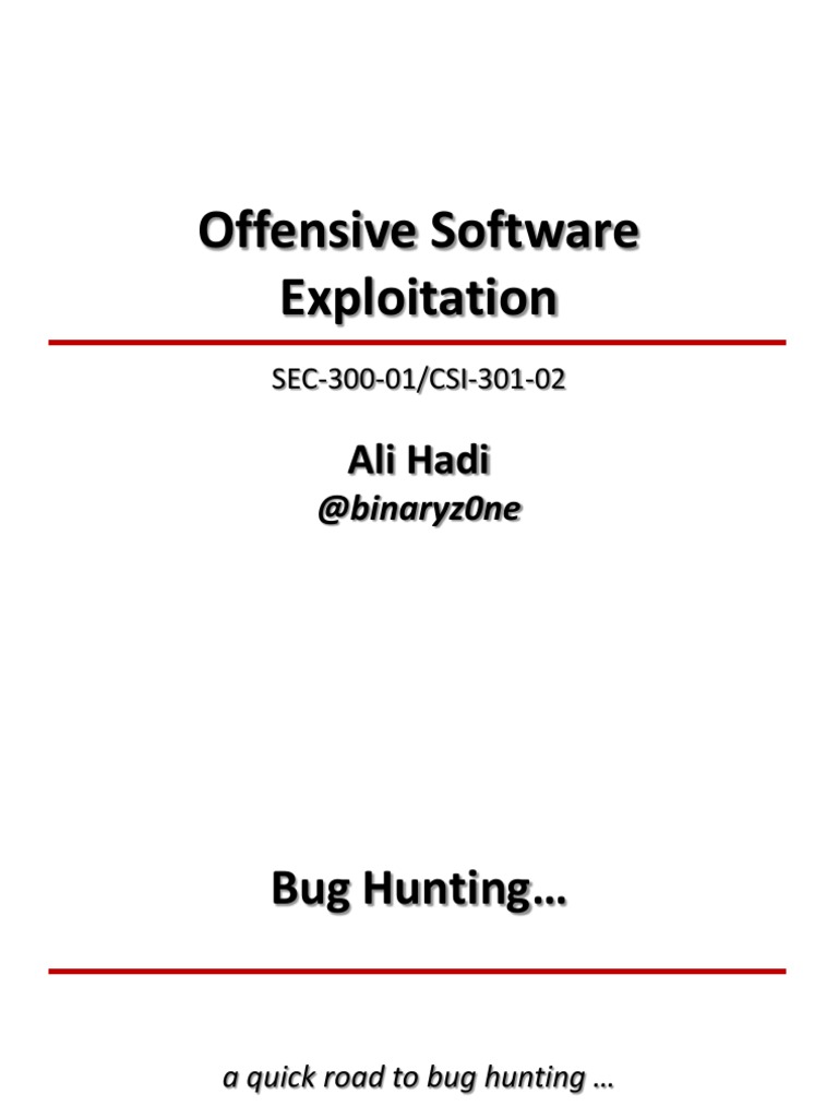 Module 03a Bug - Hunting | PDF | Software Engineering | Computer Science